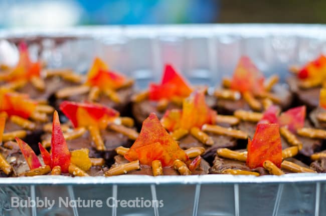 Campfire Cupcakes ⋆ Sprinkle Some Fun
