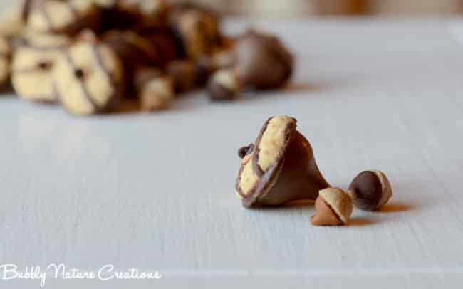 Acorn Mini Parfaits with Teeny Tiny Acorn Bites ⋆ Sprinkle Some Fun