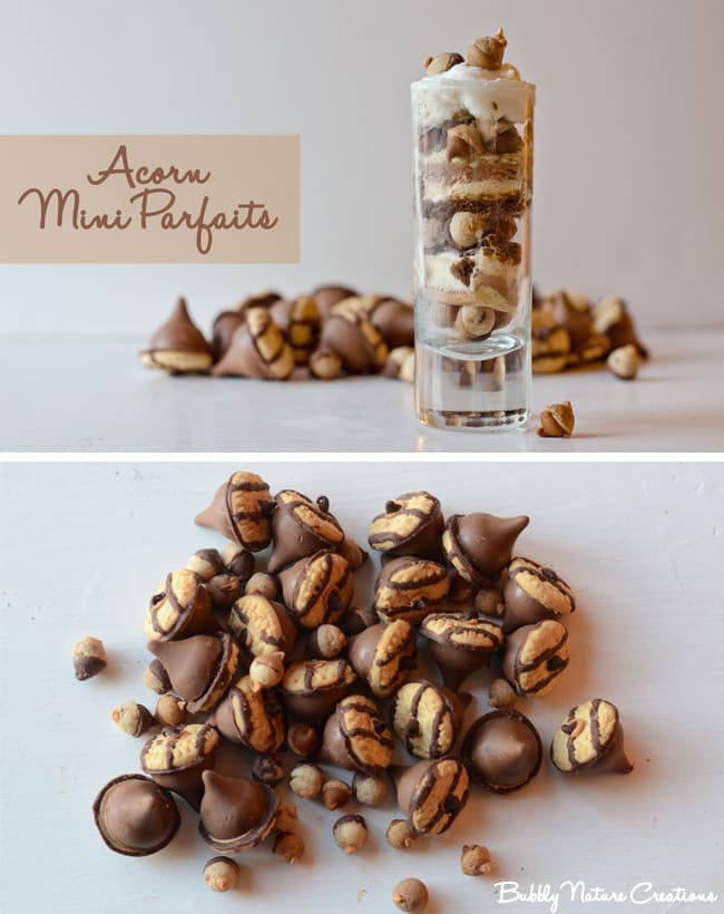 Acorn Mini Parfaits with Teeny Tiny Acorn Bites ⋆ Sprinkle Some Fun