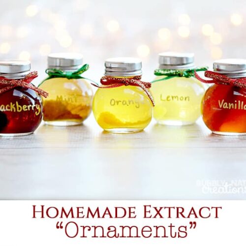 Homemade Extract Ornaments ⋆ Easy DIY Christmas Gift ⋆ Sprinkle Some Fun