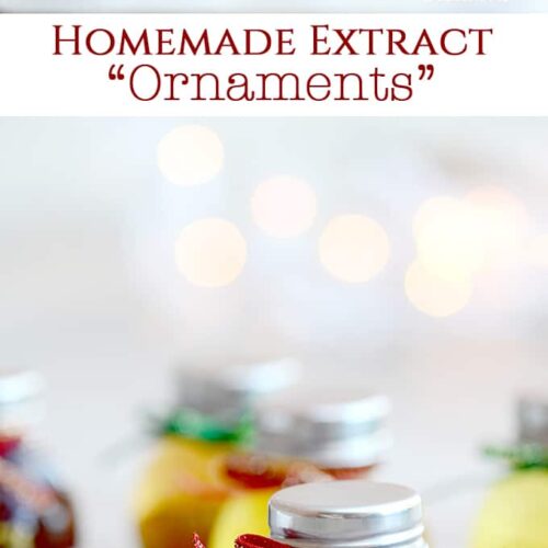 Homemade Extract Ornaments ⋆ Easy DIY Christmas Gift ⋆ Sprinkle Some Fun