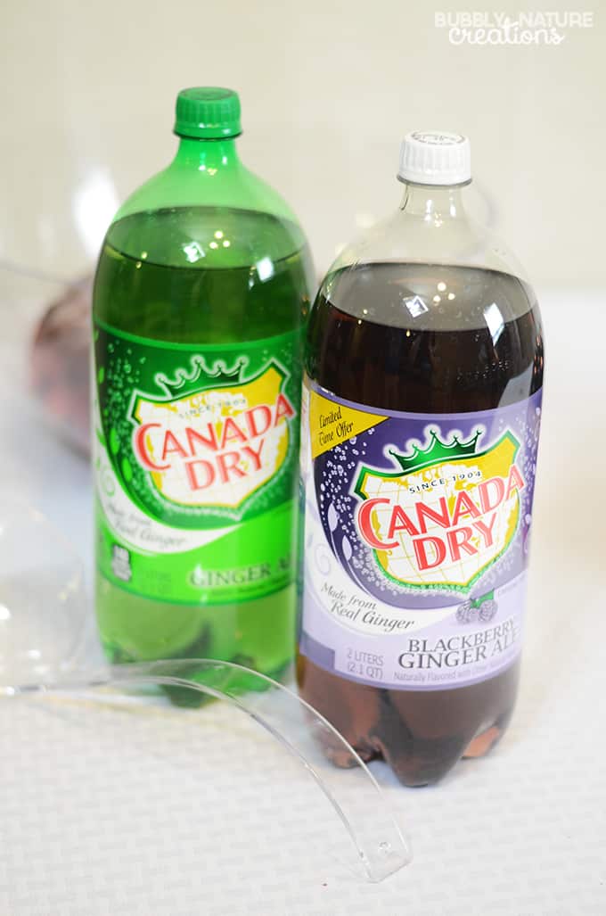 Blackberry Slush Punch Easy Party Punch Recipe