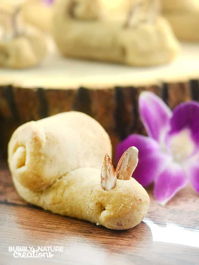 Snail Rolls ⋆ Sprinkle Some Fun