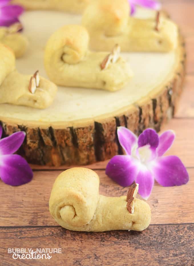 Snail Rolls ⋆ Sprinkle Some Fun