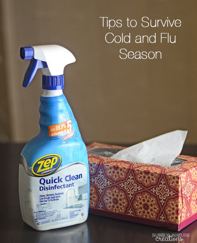 Tips to Survive Cold and Flu Season! ⋆ Sprinkle Some Fun