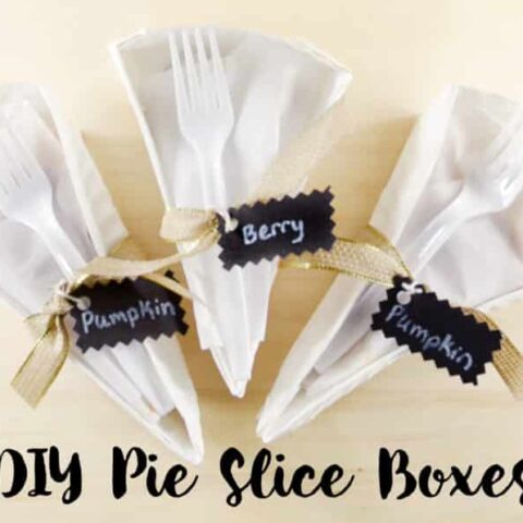 DIY Pie Slice Boxes from Paper Plates ⋆ Sprinkle Some Fun