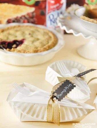 DIY Pie Slice Boxes from Paper Plates ⋆ Sprinkle Some Fun