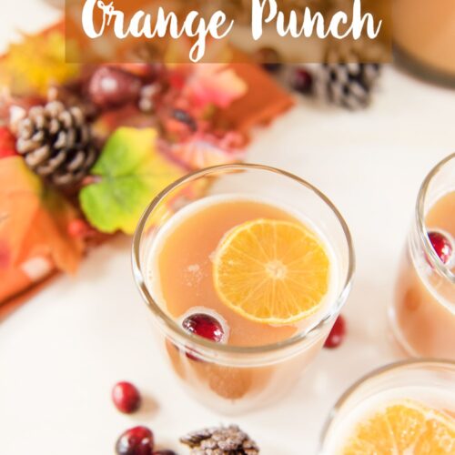 Cranberry Orange Punch ⋆ Sprinkle Some Fun