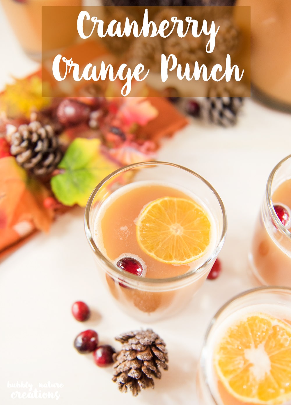 Cranberry Orange Punch ⋆ Sprinkle Some Fun