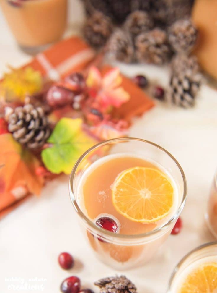 Cranberry Orange Punch ⋆ Sprinkle Some Fun