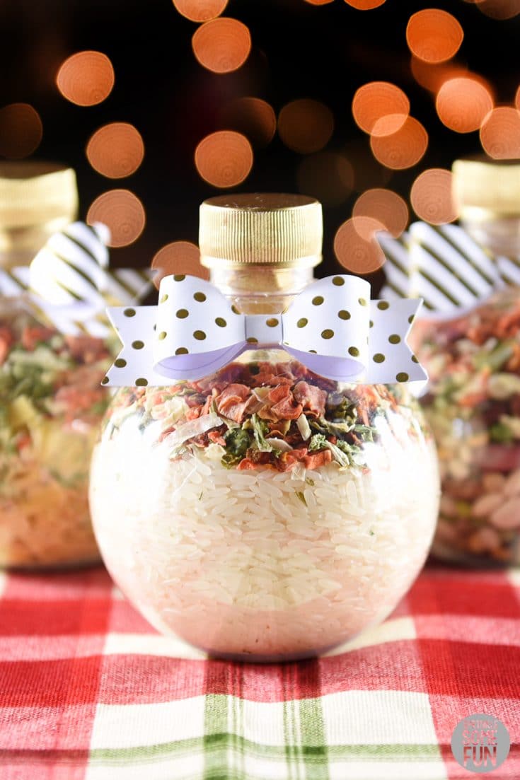 Soup Mix Ornaments ⋆ Sprinkle Some Fun