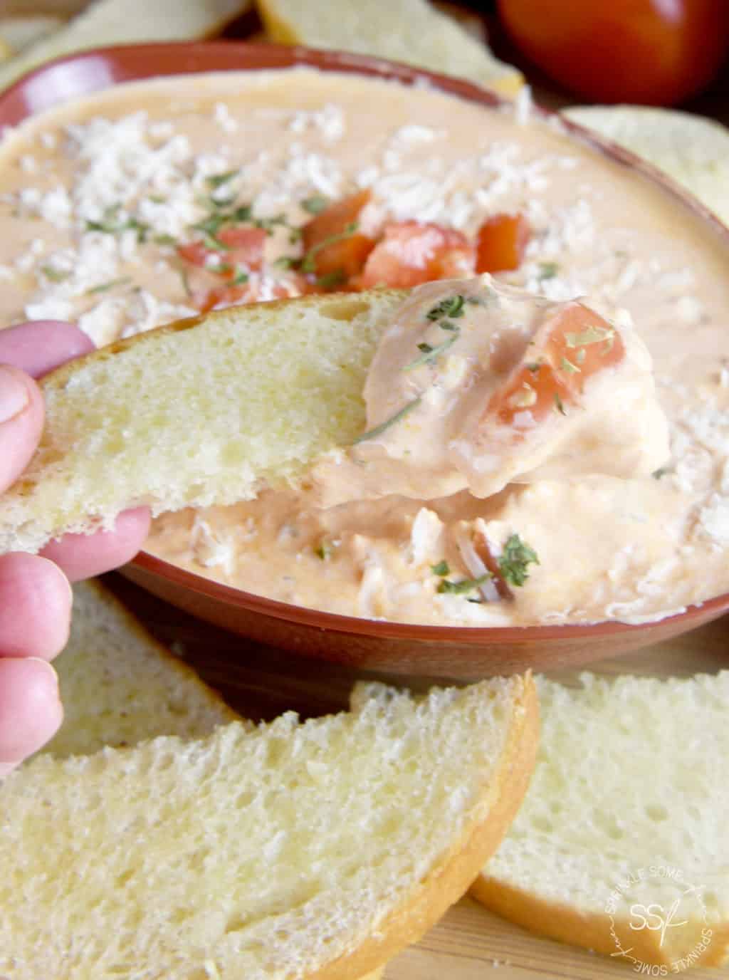 3 Ingredient Creamy Tomato Italian Dip ⋆ Sprinkle Some Fun