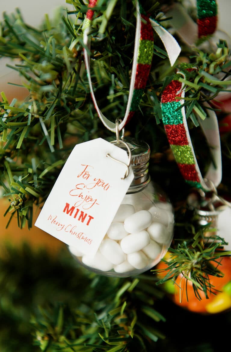 Mint Filled Ornaments * Simple Holiday Gift Idea ⋆ Sprinkle Some Fun